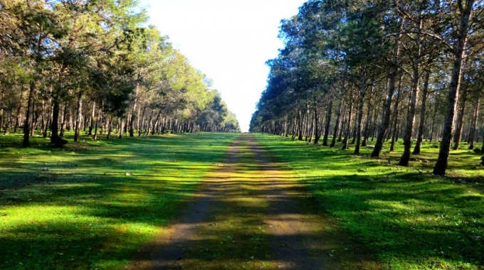 MARCHE VERTE: PARCS ET JARDINS, LES PLUS BELLES BALADES AU MAROC